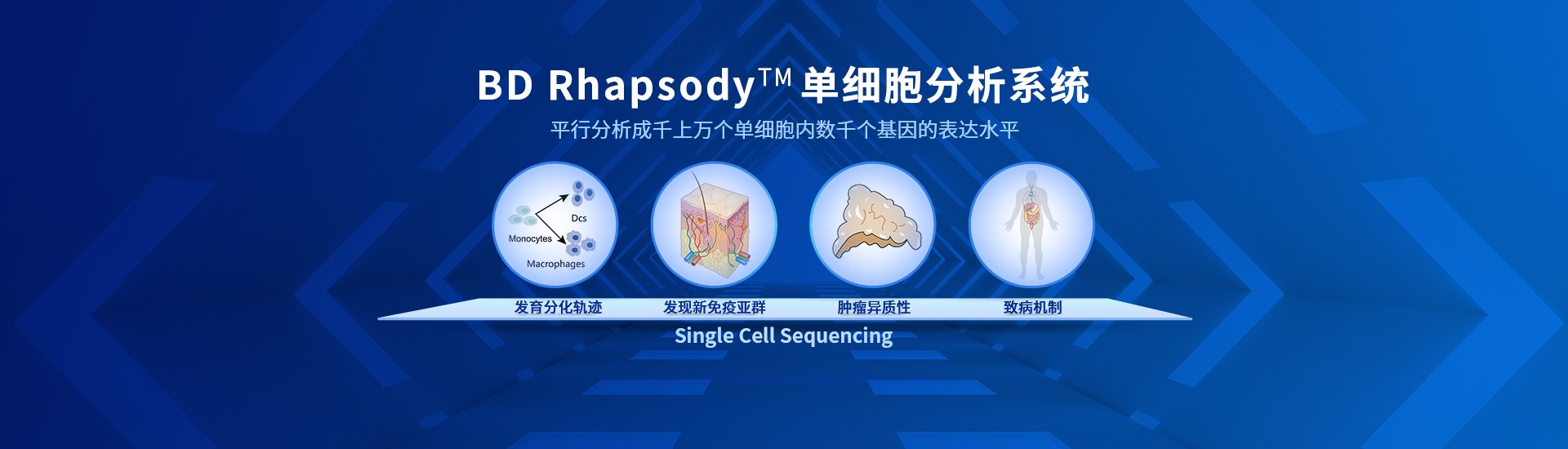 Bioxcell畅销的免疫检查点抗体 上海优宁维生物科技股份有限公司
